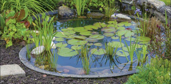 Large Preformed Ponds