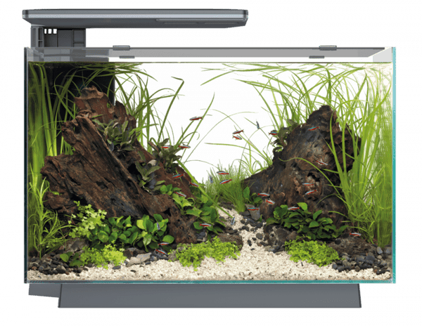 Superfish Aquariums & Cabinets Collection - Aquarium Store in Henlow