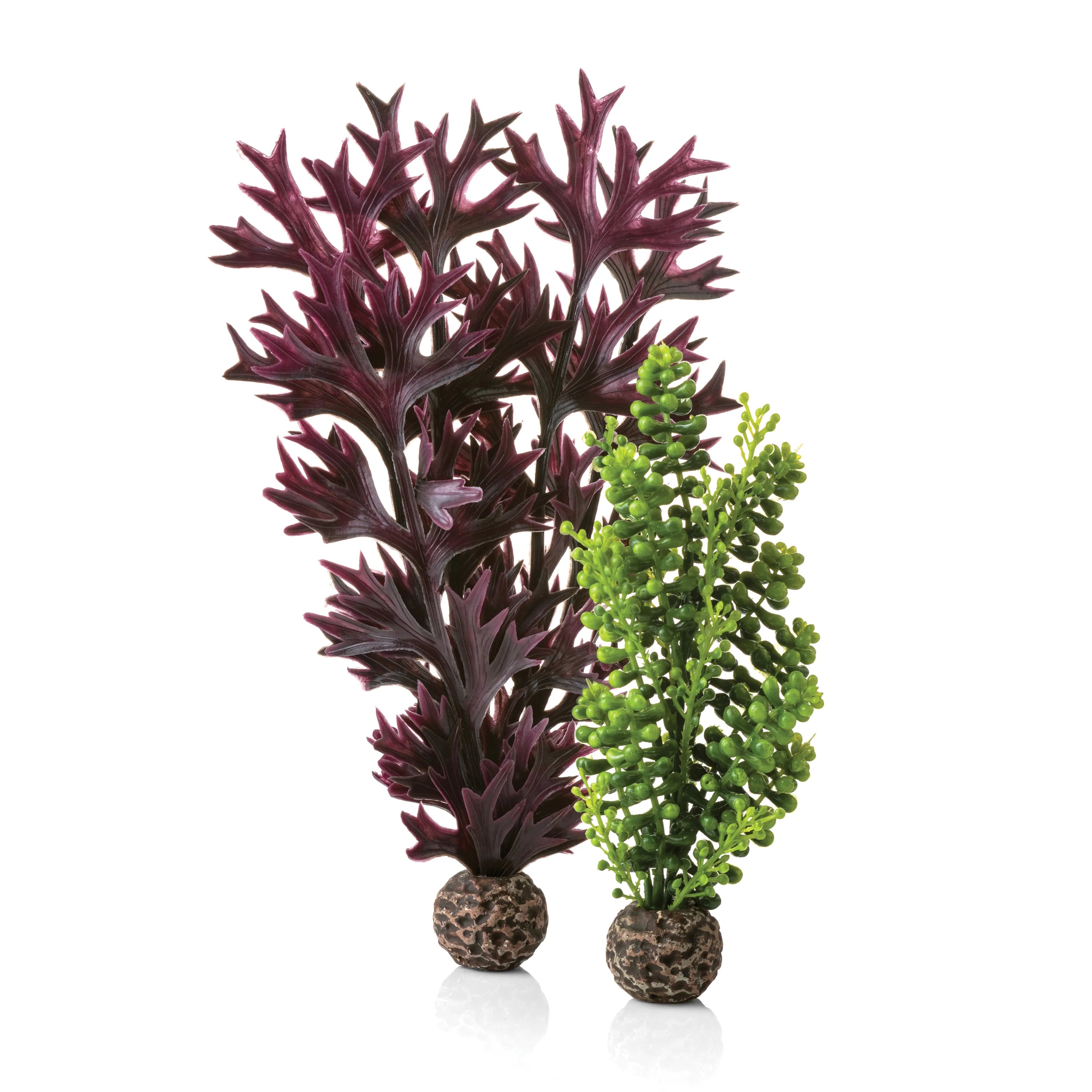 BiOrb Seapearls & Kelp Plant Set -Medium Olive Green