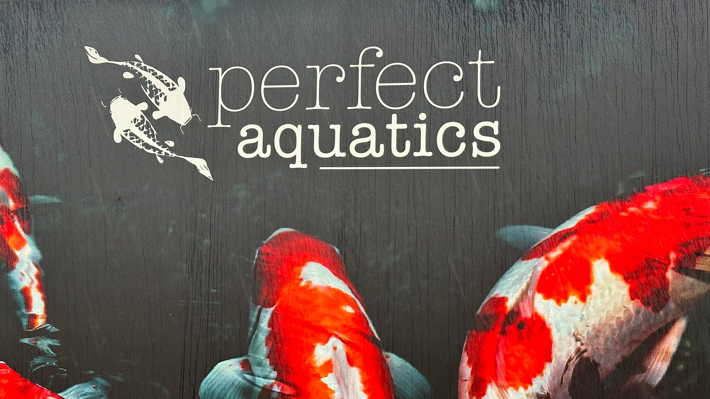About Us | Henlow, Bedfordshire Aquatic Specialists