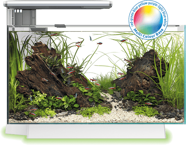 Superfish Aquariums & Cabinets Collection - Aquarium Store in Henlow