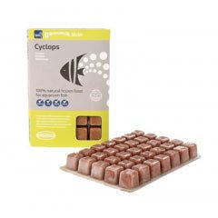 TMC Frozen Cyclops Blister