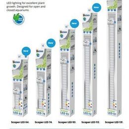 Superfish Scaper LED