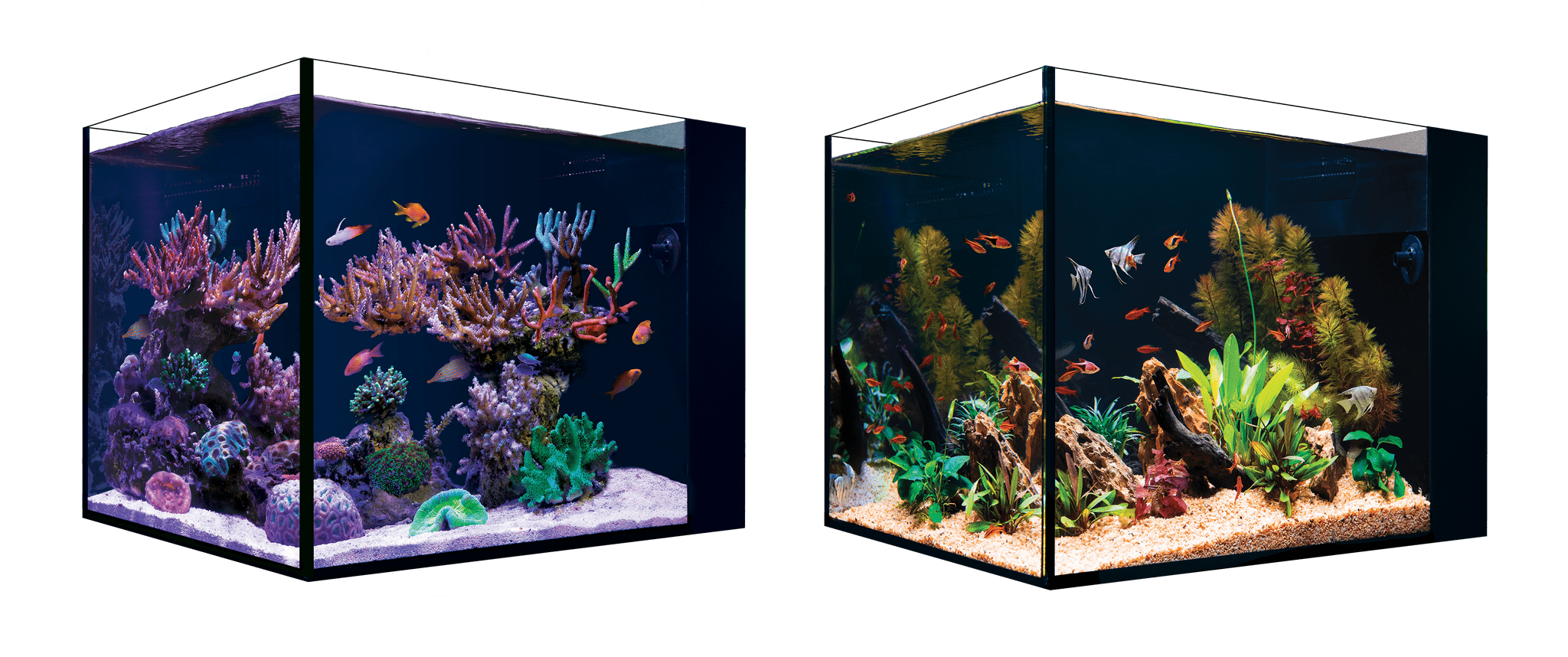Red Sea Desktop Peninsula Aquarium Only