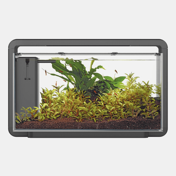 Superfish Aquariums Collection - Aquarium Store in Henlow