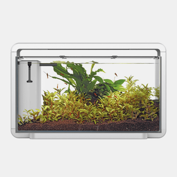 Superfish Aquariums Collection - Aquarium Store in Henlow