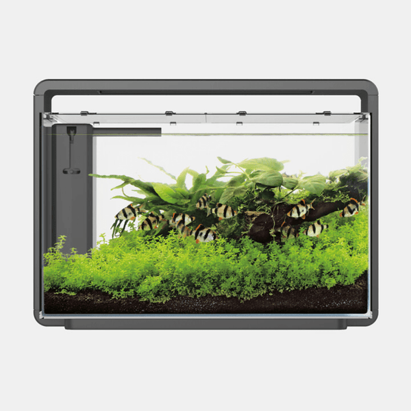 Superfish Aquariums Collection - Aquarium Store in Henlow