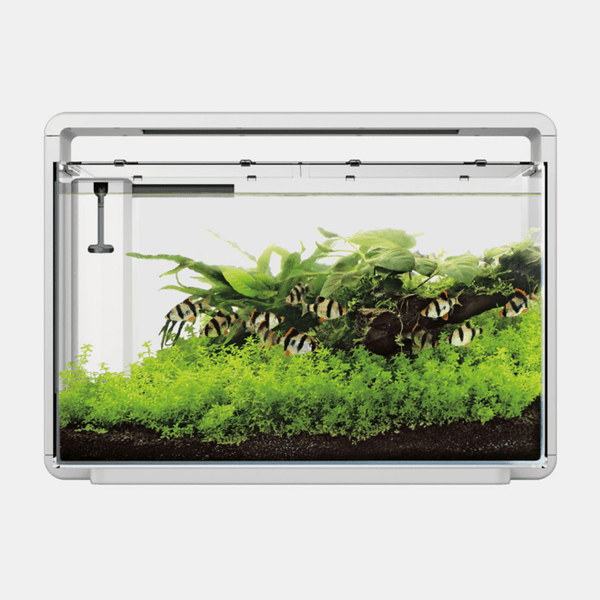 Superfish Aquariums Collection - Aquarium Store in Henlow